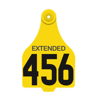 Livestock - Destron Fearing