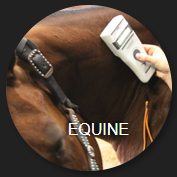 Products - Destron Fearing