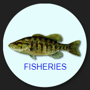 Products - Destron Fearing