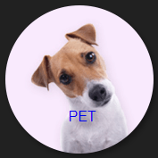 Products - Destron Fearing