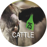 Products - Destron Fearing