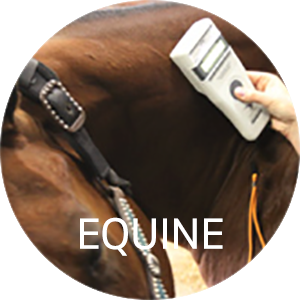 Destron Fearing - Destron Fearing