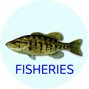 Destron Fearing - Destron Fearing