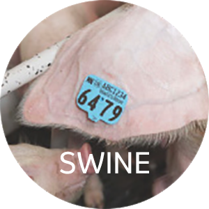 Destron Fearing - Destron Fearing